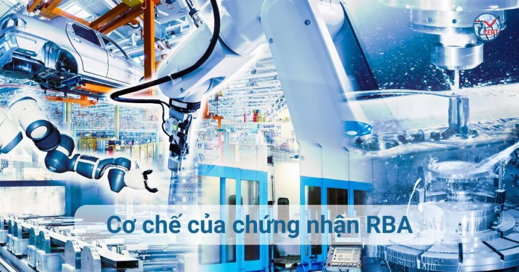 Chứng nhận RBA là gì? Quy trình và lợi ích cho doanh nghiệp.