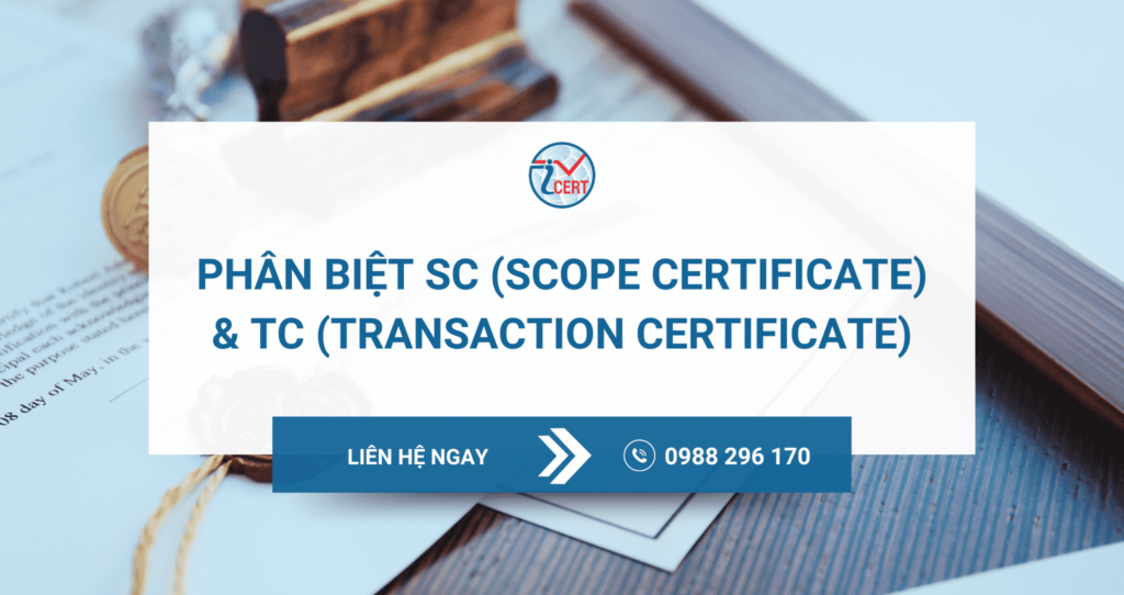 Phân loại SC và TC trong tiêu chuẩn GRS- Sự khác biệt mà bạn cần