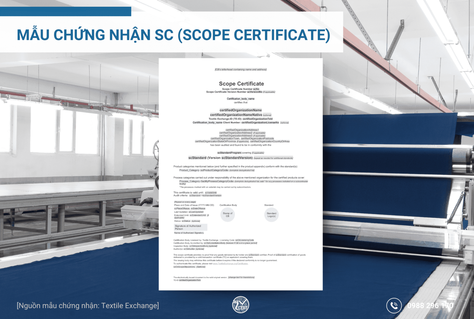Phân loại SC và TC trong tiêu chuẩn GRS- Sự khác biệt mà bạn cần