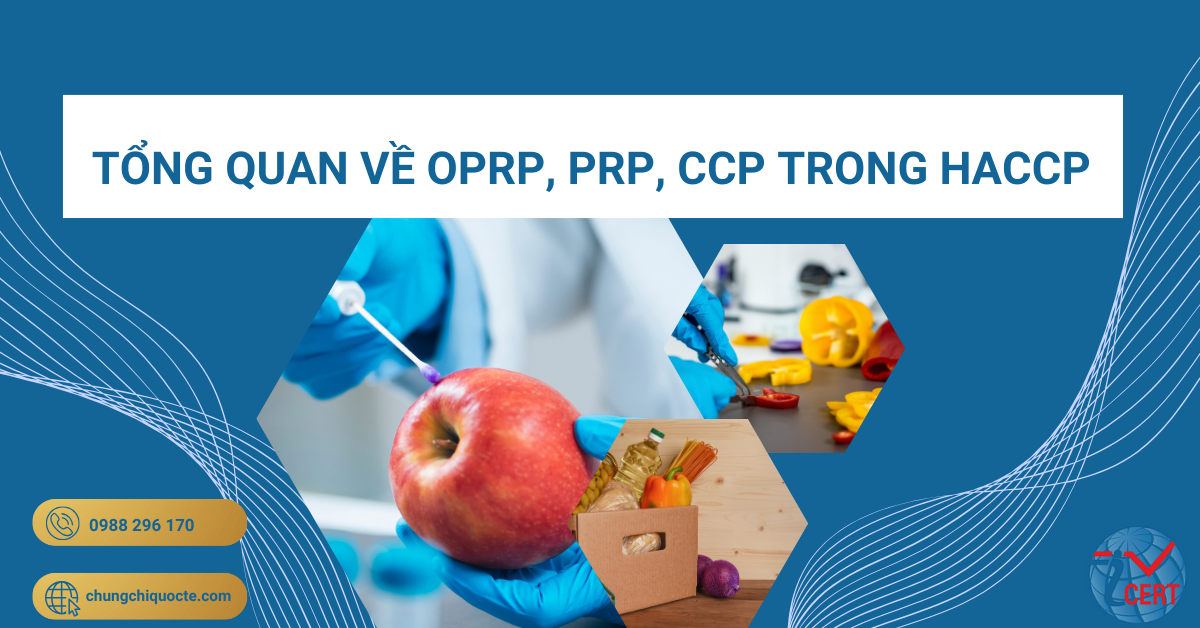 OPRP là gì? So sánh giữa OPRP, PRP, CCP trong HACCP
