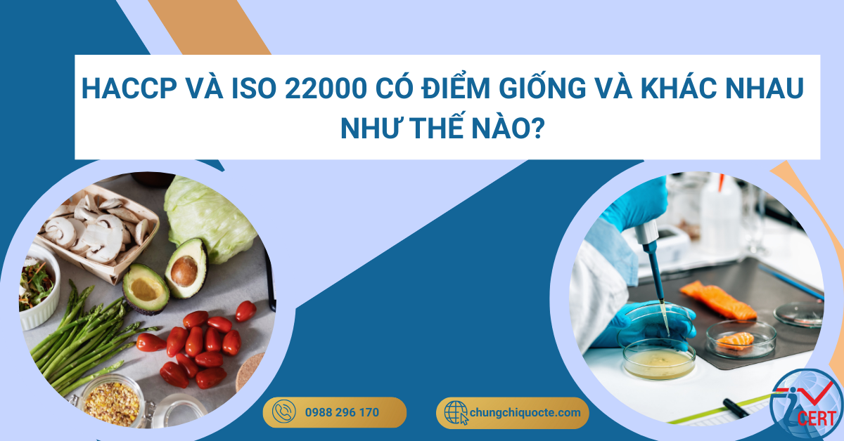 HACCP và ISO 22000 có điểm giống và khác nhau như thế nào?